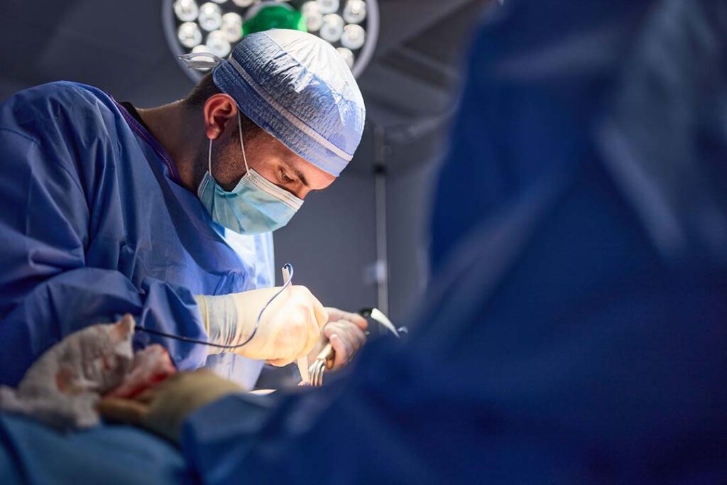 Facelift Scars: What To Expect After Surgery | Capizzi MD